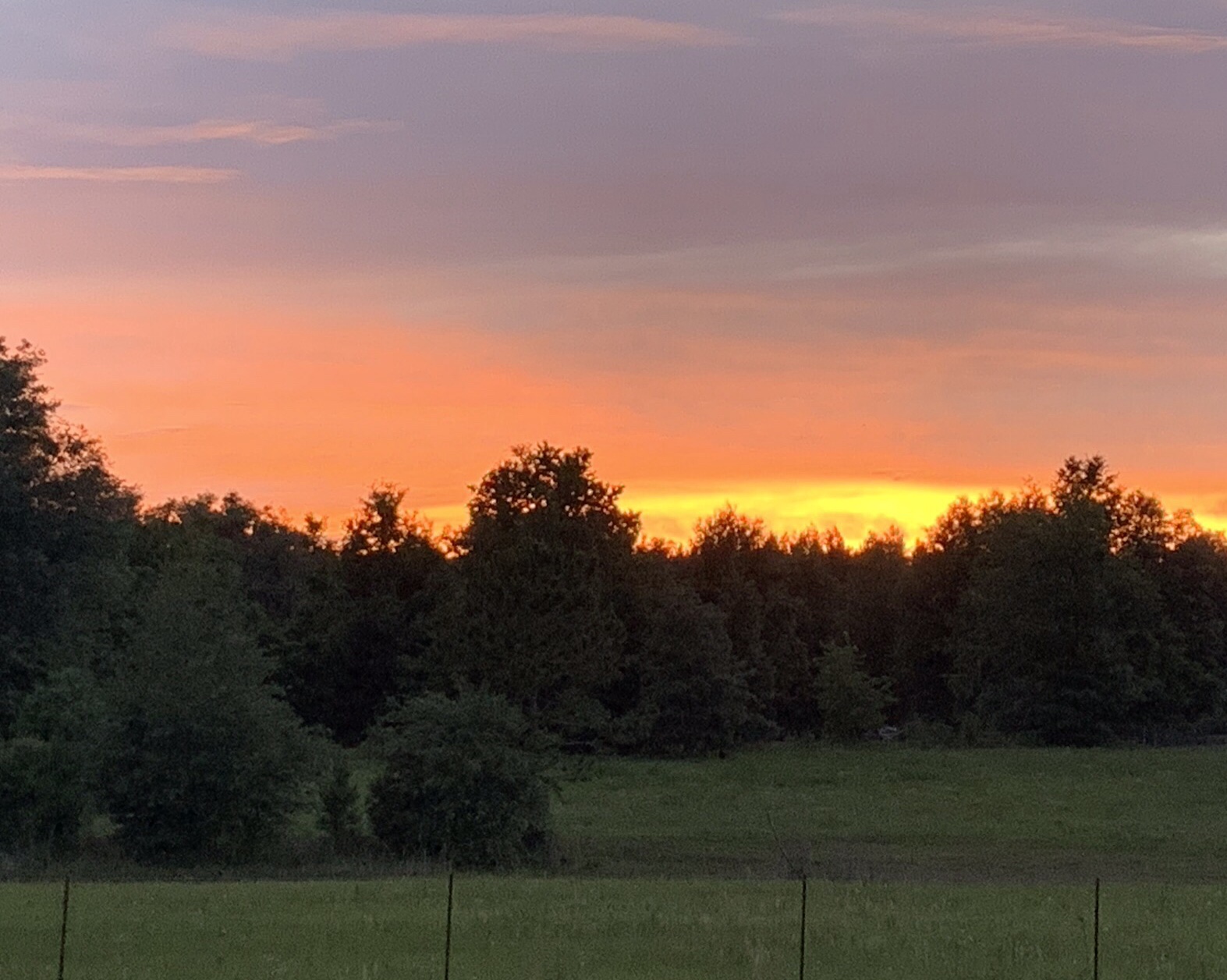 How to Praise God – Bridget A. Thomas