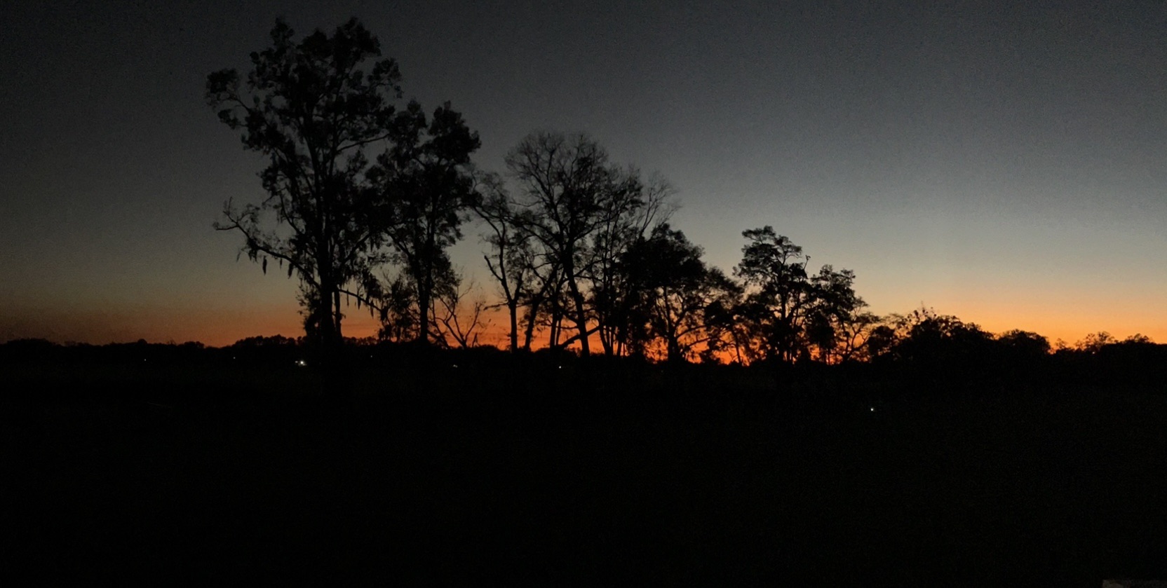 January’s Blessings and Reminders – Bridget A. Thomas