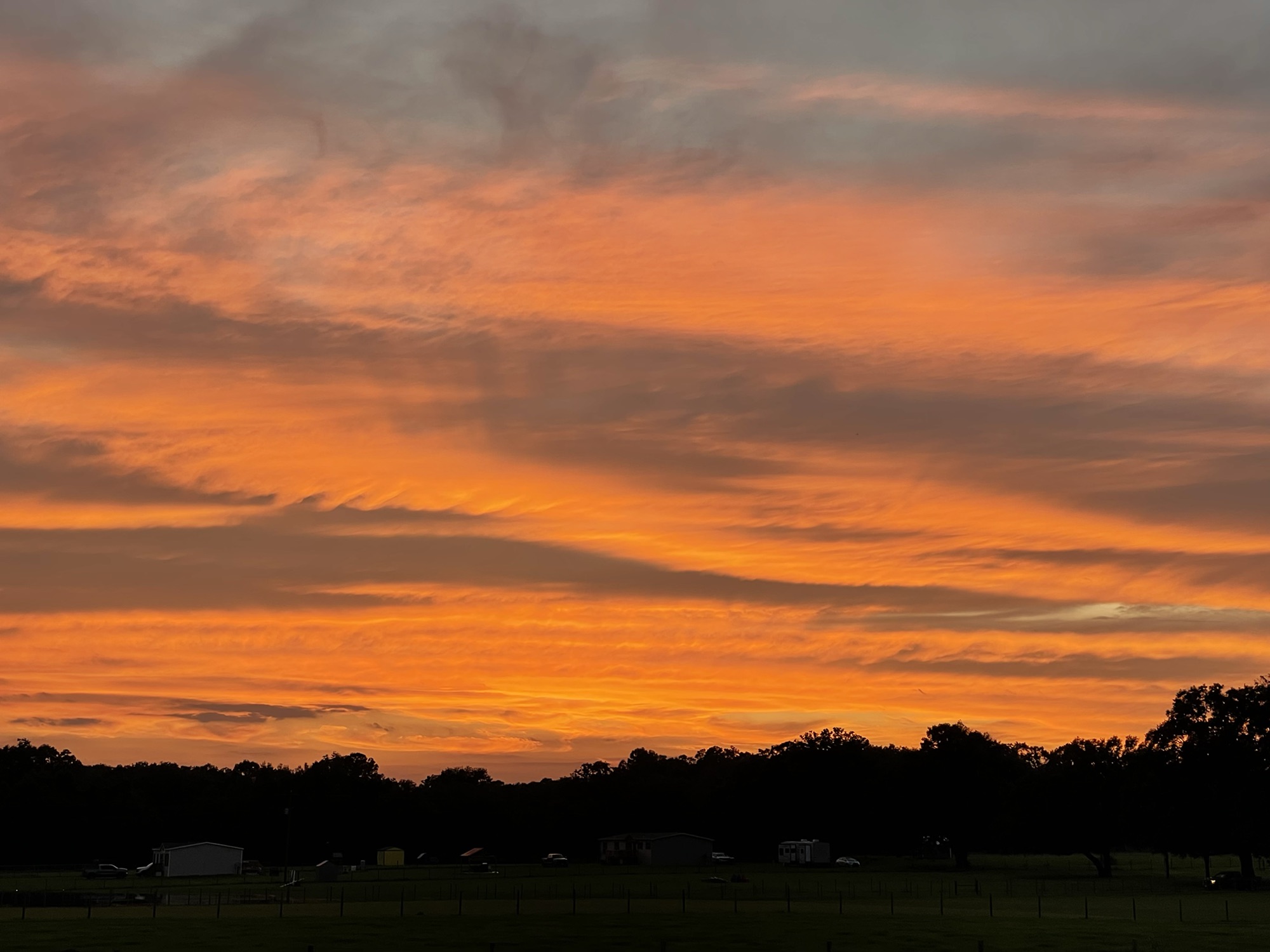 Be Still – Bridget A. Thomas